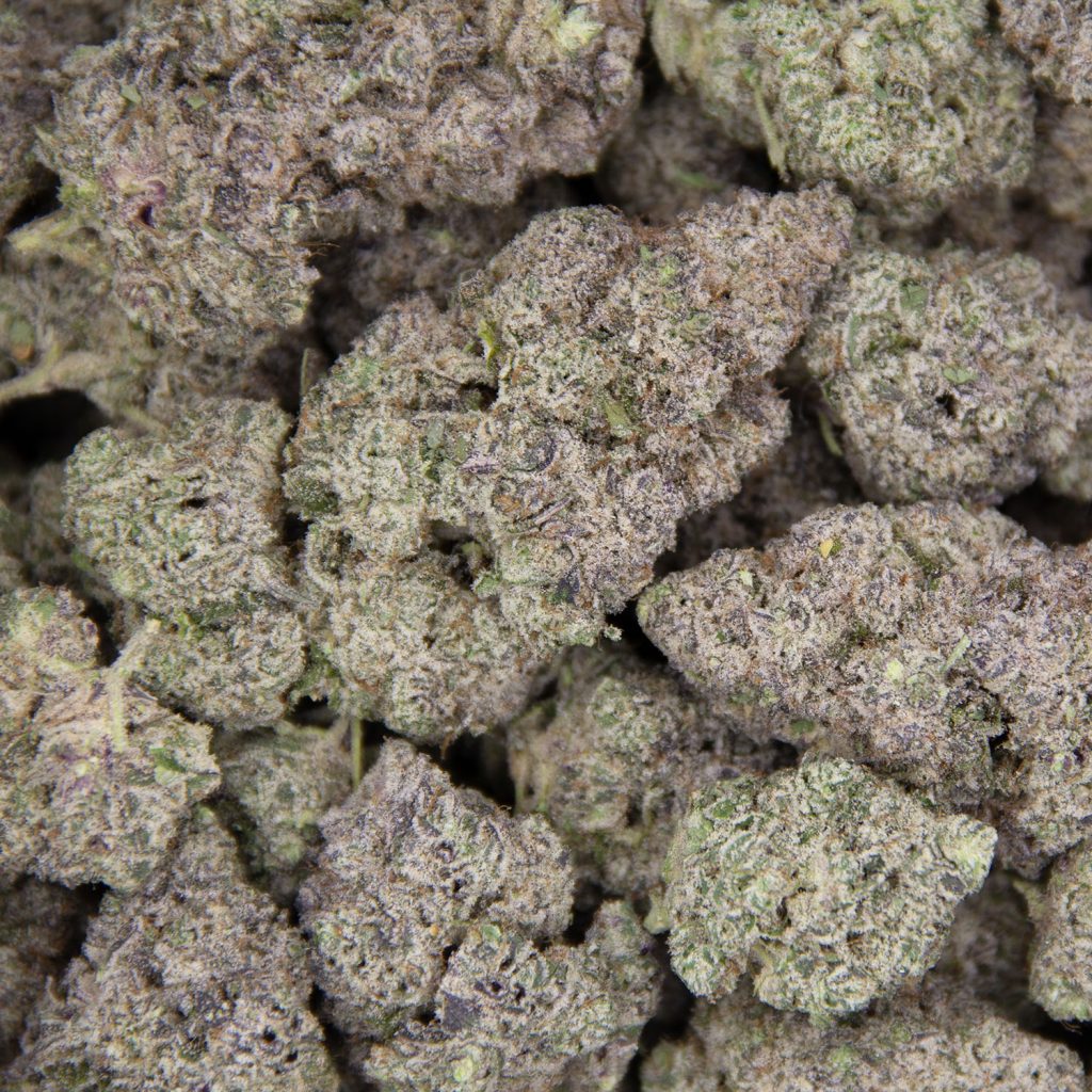 Mint Chocolate Chip AAAA - Bud Bargain